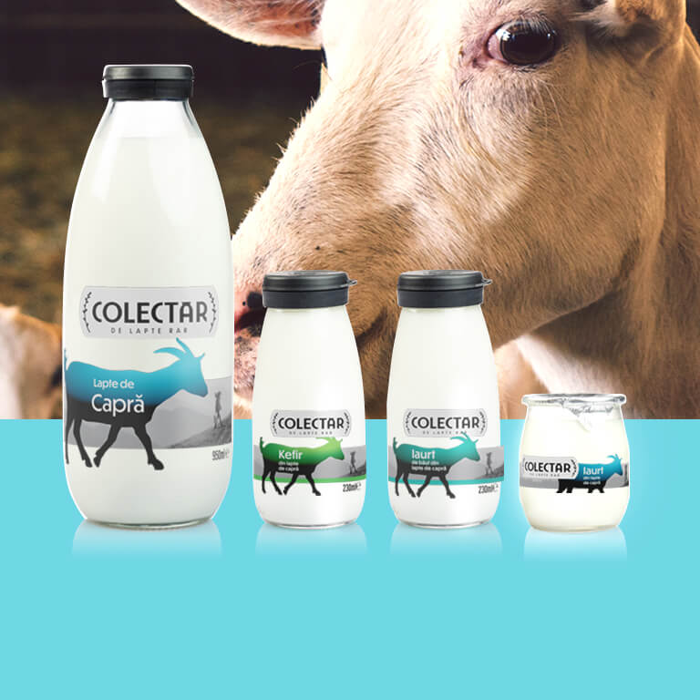 Colectar de lapte BIO Colectar de lapte RAR